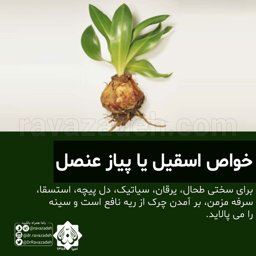 khavase-esghil-soc - روازاده سایت حکیم دکتر روازاده پدر طب ایرانی اسلامی