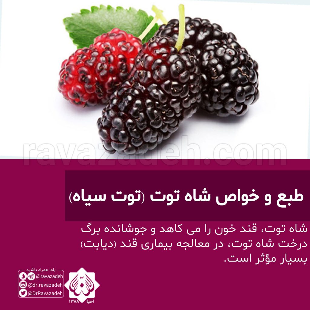 طبع و خواص شاه توت (توت سیاه) - روازاده سایت حکیم دکتر روازاده پدر طب ...